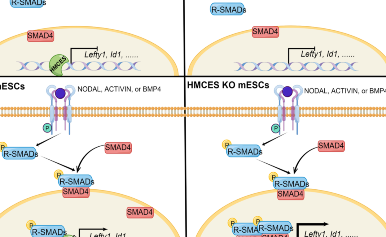News-Tsinghua University